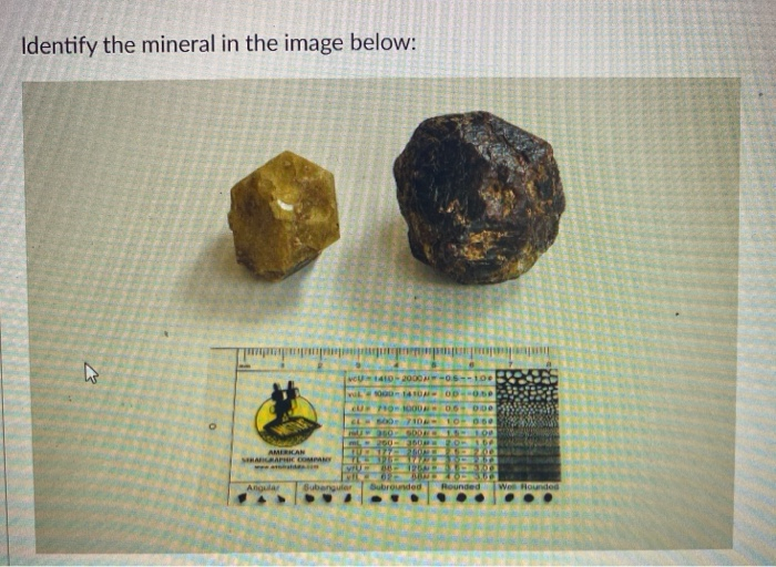 Solved Determine the color of the sample. Is it a light or | Chegg.com