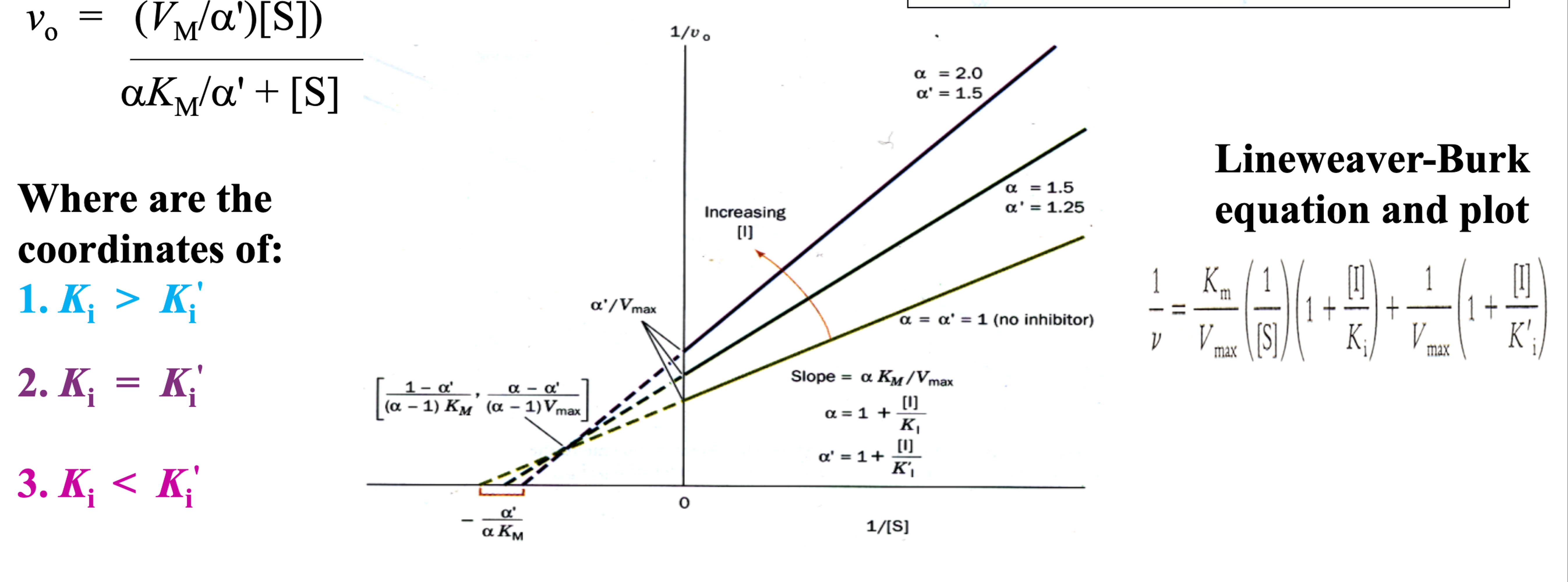 Solved On the Lineweaver-Burk plot of a mixed inhibitor, | Chegg.com