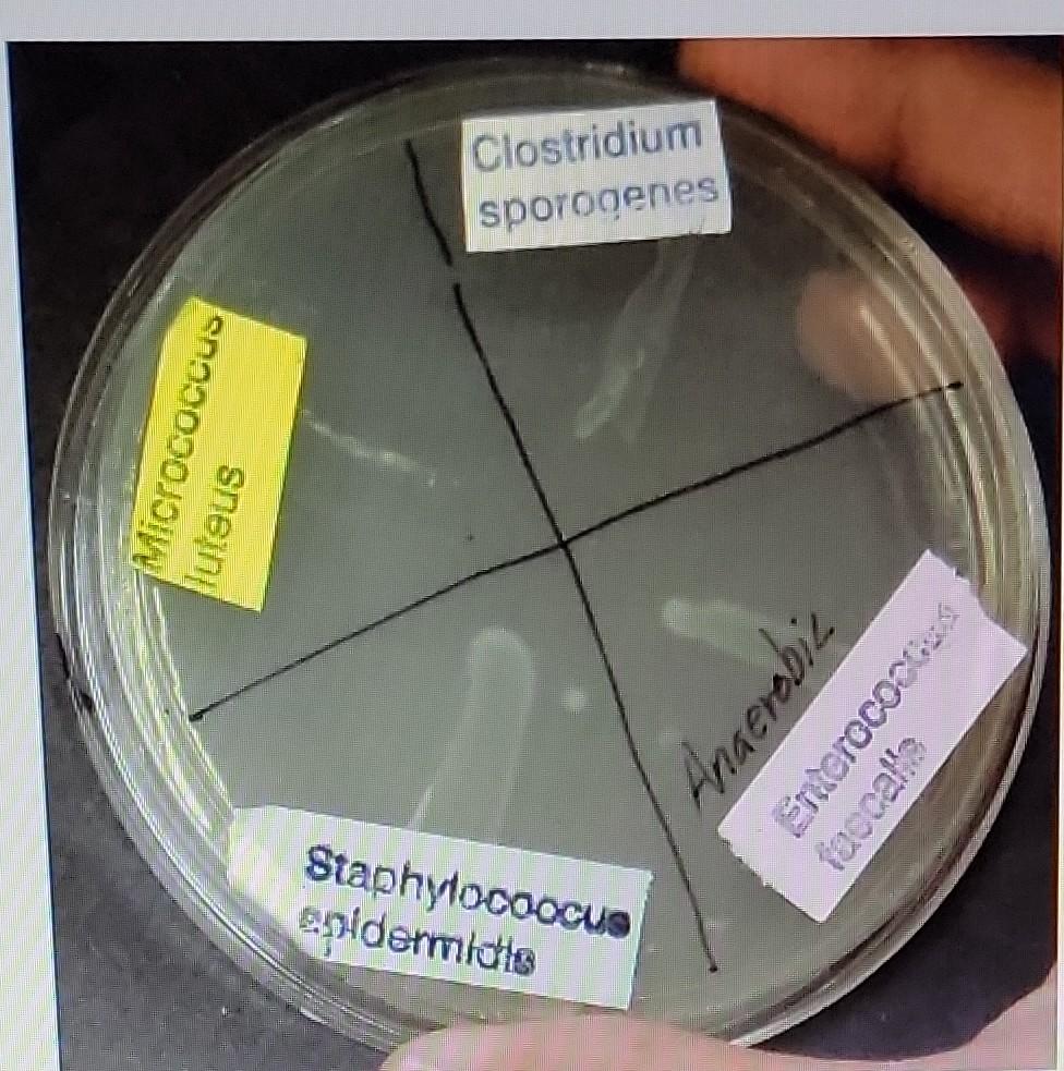 Solved \begin{tabular}{|l|l|l|} \hline \begin{tabular}{l|l} | Chegg.com