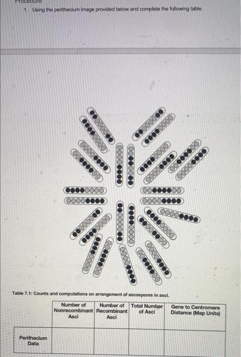Solved Procedure 1. Using the perithecium image provided | Chegg.com