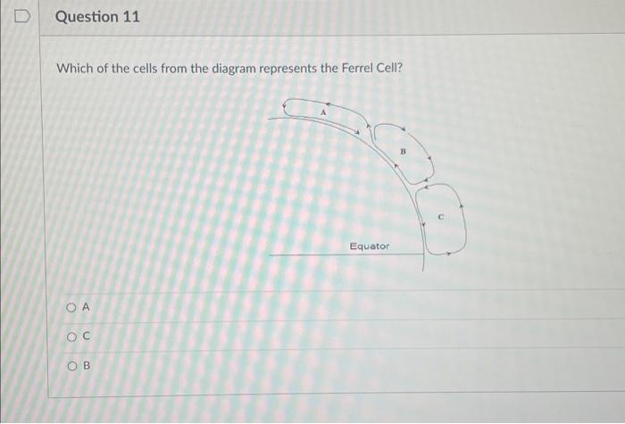 Solved Which of the cells from the diagram represents the | Chegg.com