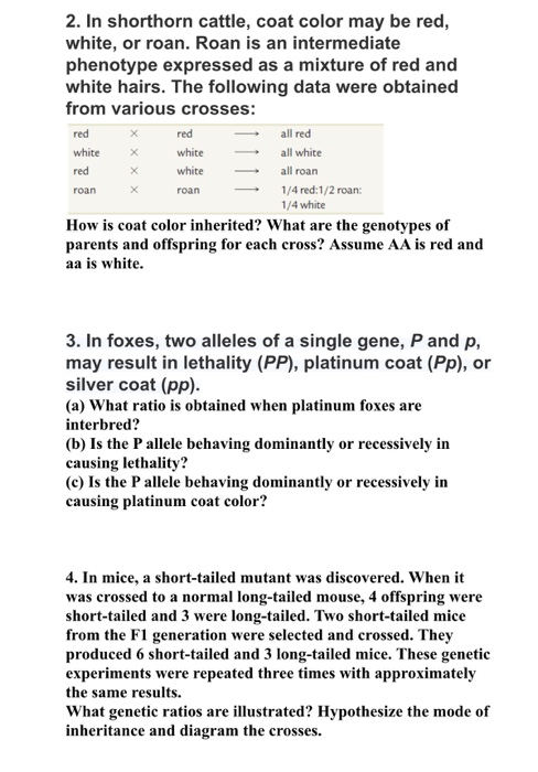 Solved 1 Draw All Possible Conclusions Concerning The Mode