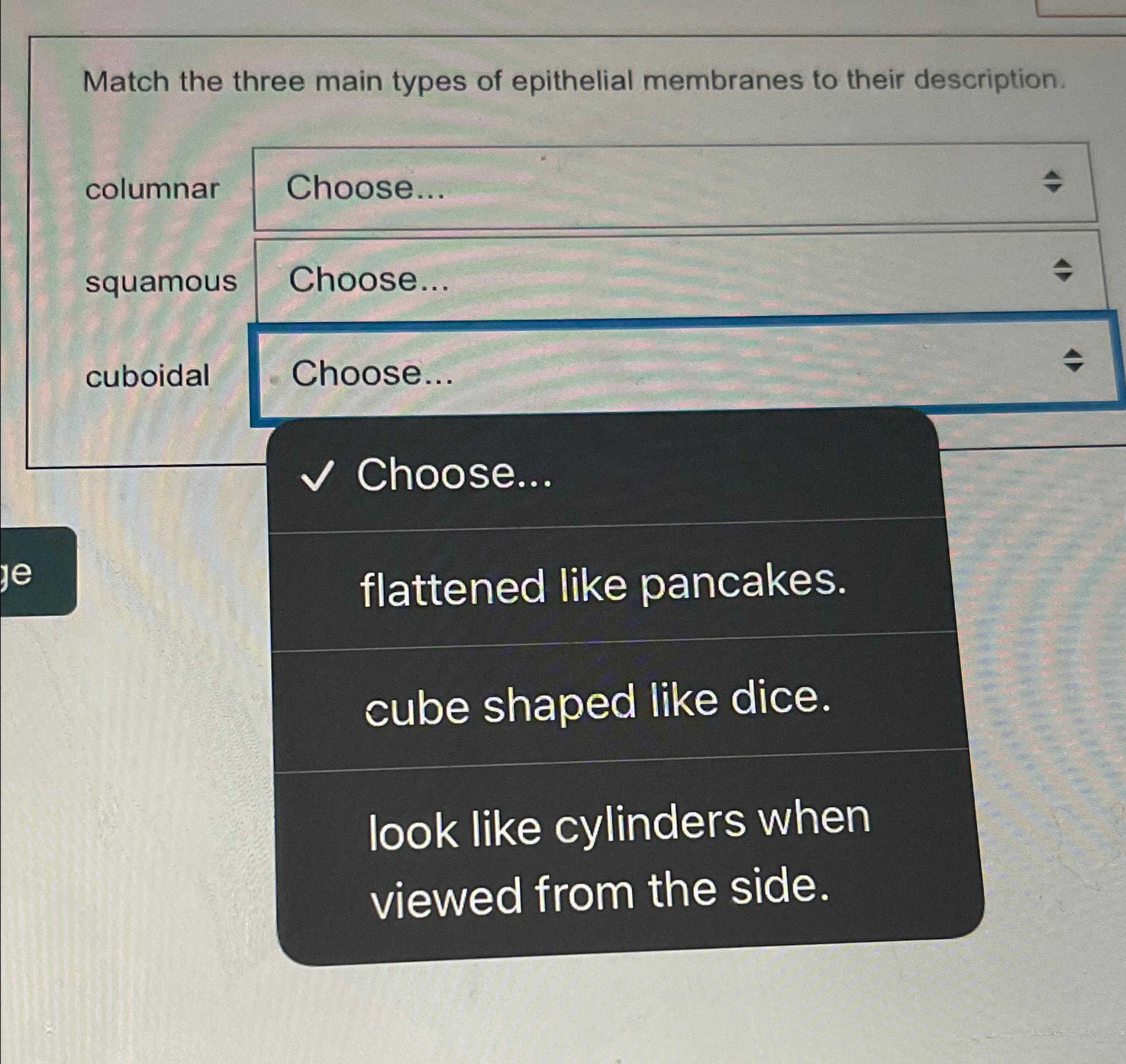 Solved Match the three main types of epithelial membranes to | Chegg.com