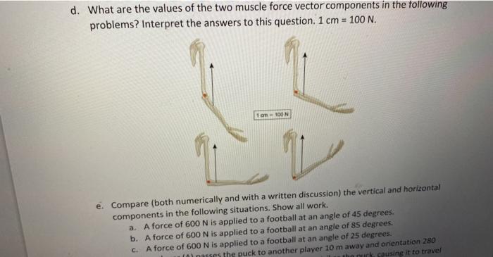 Solved d. What are the values of the two muscle force vector | Chegg.com