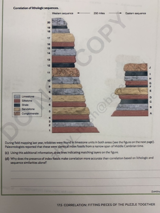 Solved Correlation of lithologic sequences. Western sequence | Chegg.com