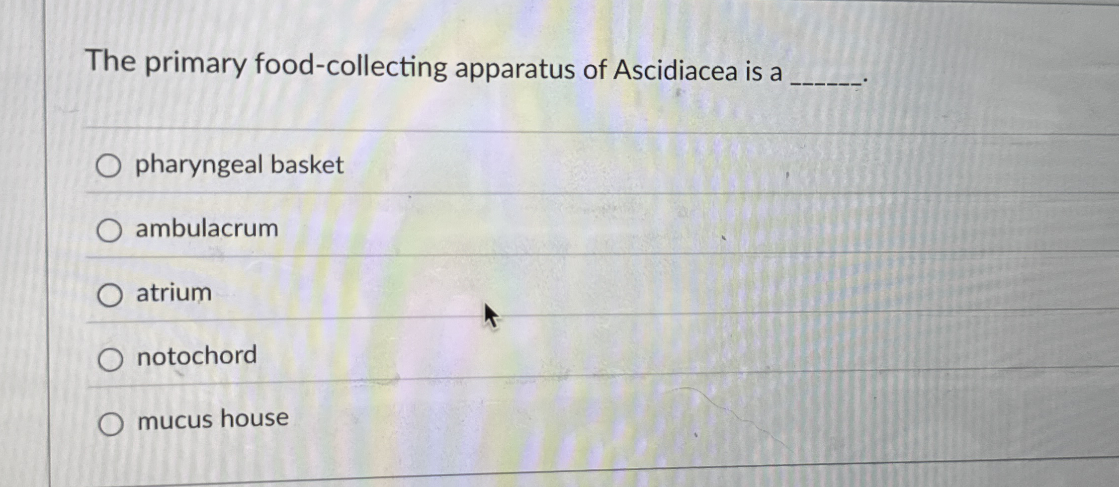 Solved The primary food-collecting apparatus of Ascidiacea | Chegg.com