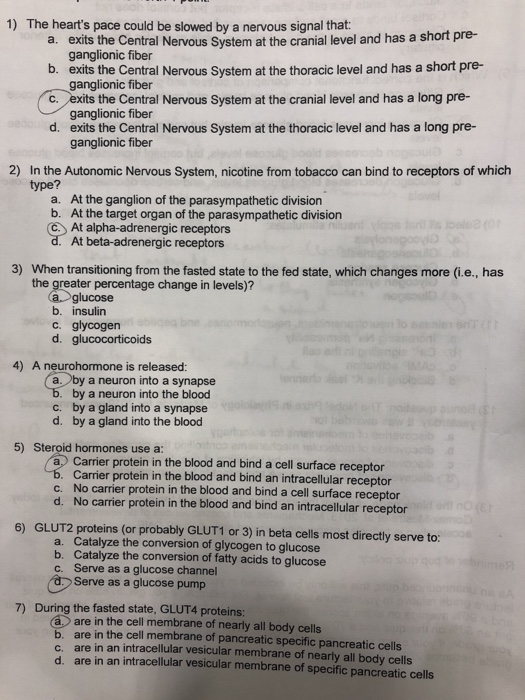 Solved 1) The heart's pace could be slowed by a nervous | Chegg.com