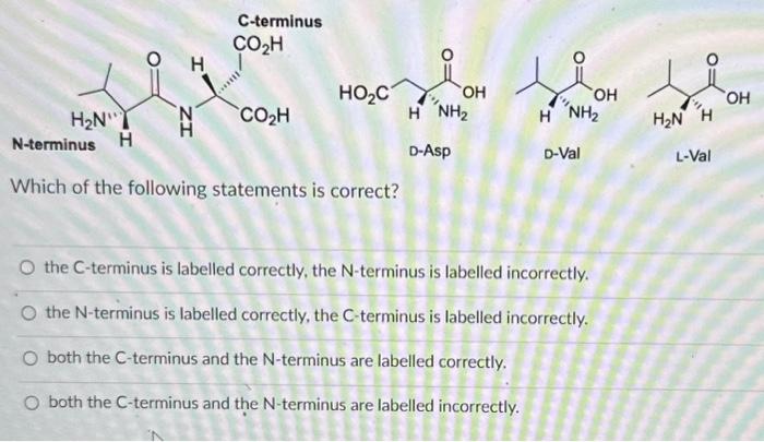 Solved Which of the following statements is correct? the | Chegg.com