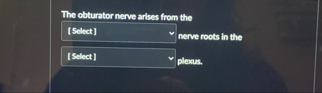 Solved The obturator nerve arises from the ﻿nerve roots in | Chegg.com