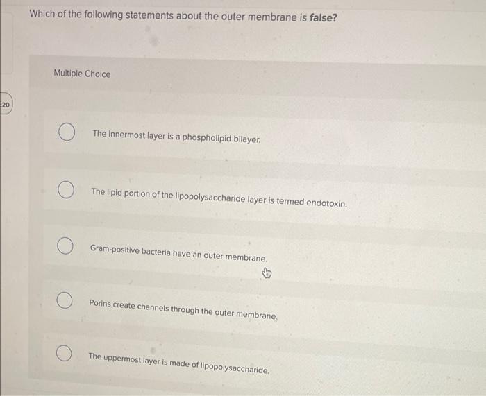 Solved Which of the following statements about the outer | Chegg.com