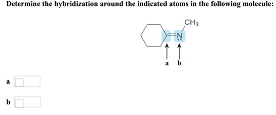 Solved Determine The Hybridization Around The Indicated