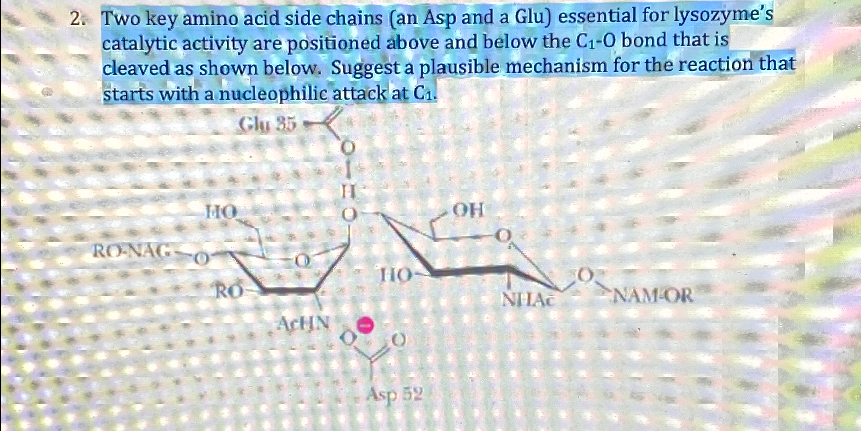 Solved Please answer this step by step with a diagram | Chegg.com