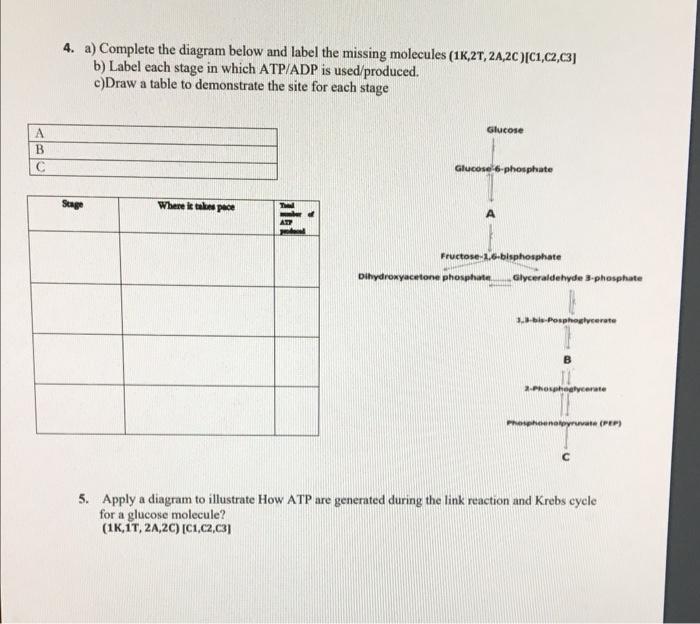 Solved 3 If The Wolf Population Density In An Area Is 0093 7486