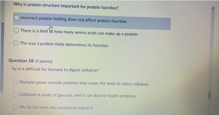 Solved Why is protein structure important for protein | Chegg.com