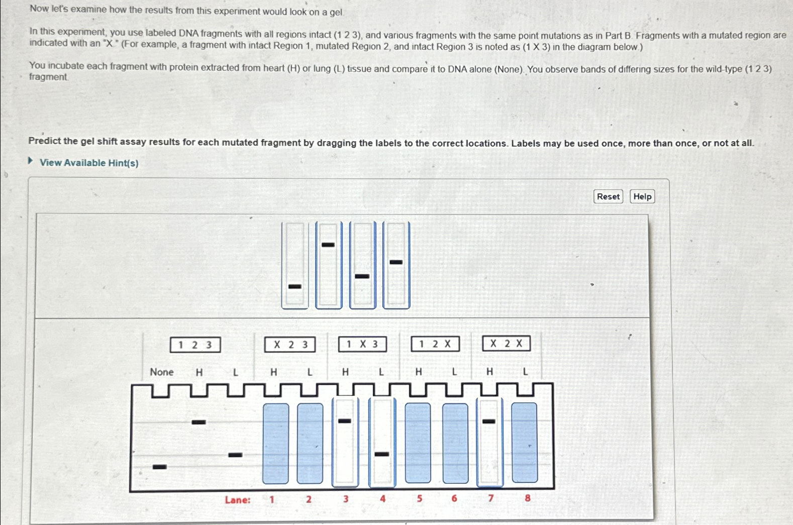 Solved Now let's examine how the results from this | Chegg.com