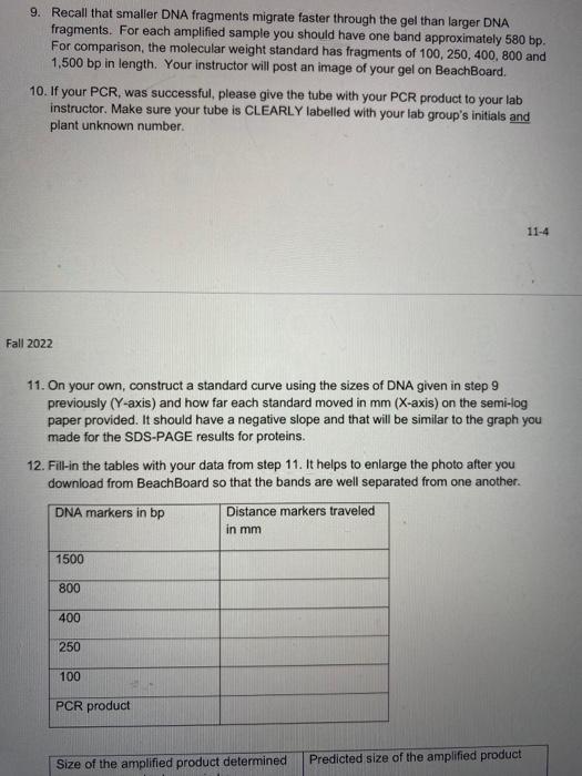 9. Recall that smaller DNA fragments migrate faster | Chegg.com