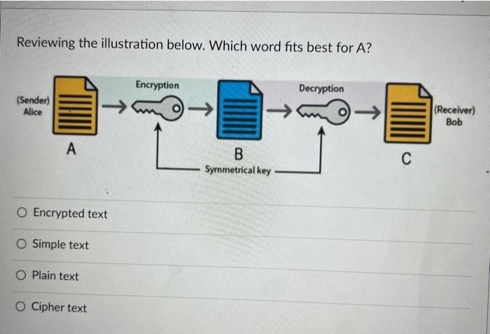 Solved Reviewing the illustration below. Which word fits | Chegg.com