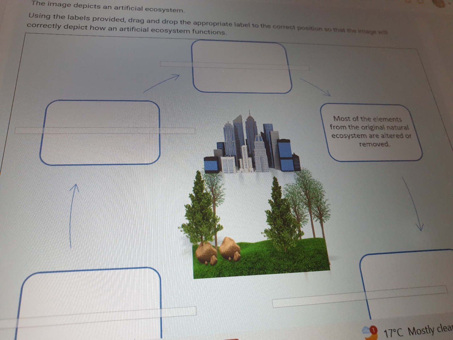 Solved The image depicts an artificial ecosystem.Using the | Chegg.com