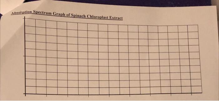 Solved 380 nm Table 3: Absorption Spectrum Data for Spinach | Chegg.com