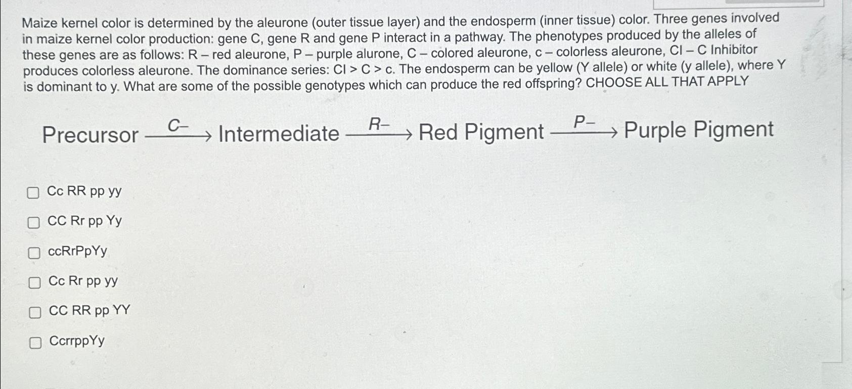 Solved Maize kernel color is determined by the aleurone | Chegg.com