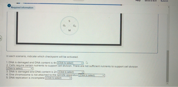 Solved For The Checkpoints I Only Have 3 OptionsG1 Chegg