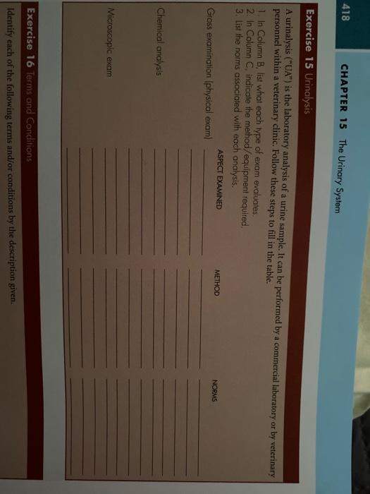 Solved 418 CHAPTER 15 The Urinary System Exercise 15 | Chegg.com