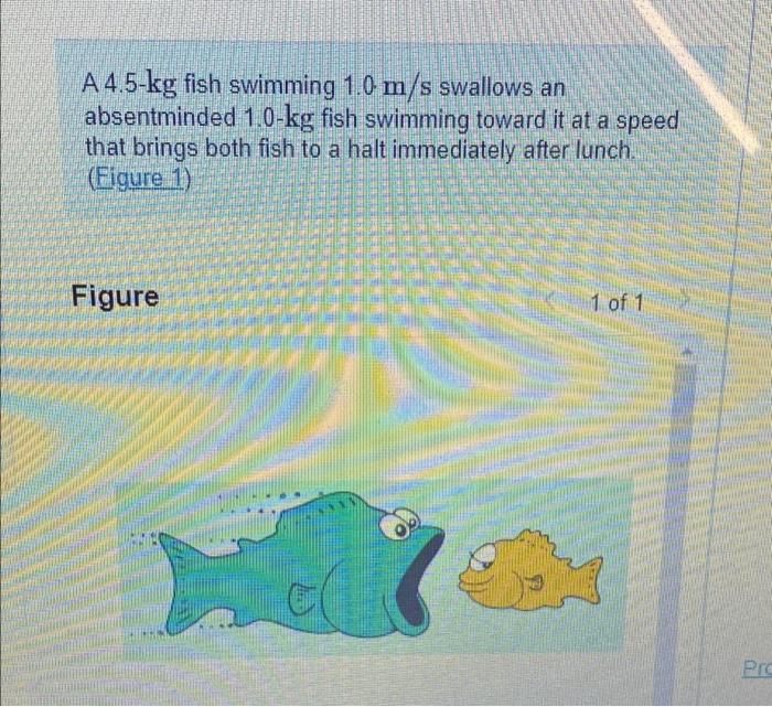 Solved A 4.5-kg fish swimming 1.0 m/s swallows an | Chegg.com