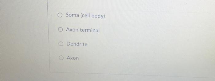 Solved What is the name of structure A? B E D Soma (cell | Chegg.com