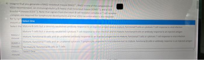 Solved 4) Imagine that you generate a RAG2 knockout mouse | Chegg.com