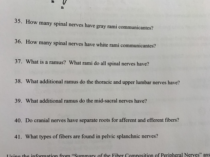 Solved 35. How many spinal nerves have gray rami | Chegg.com