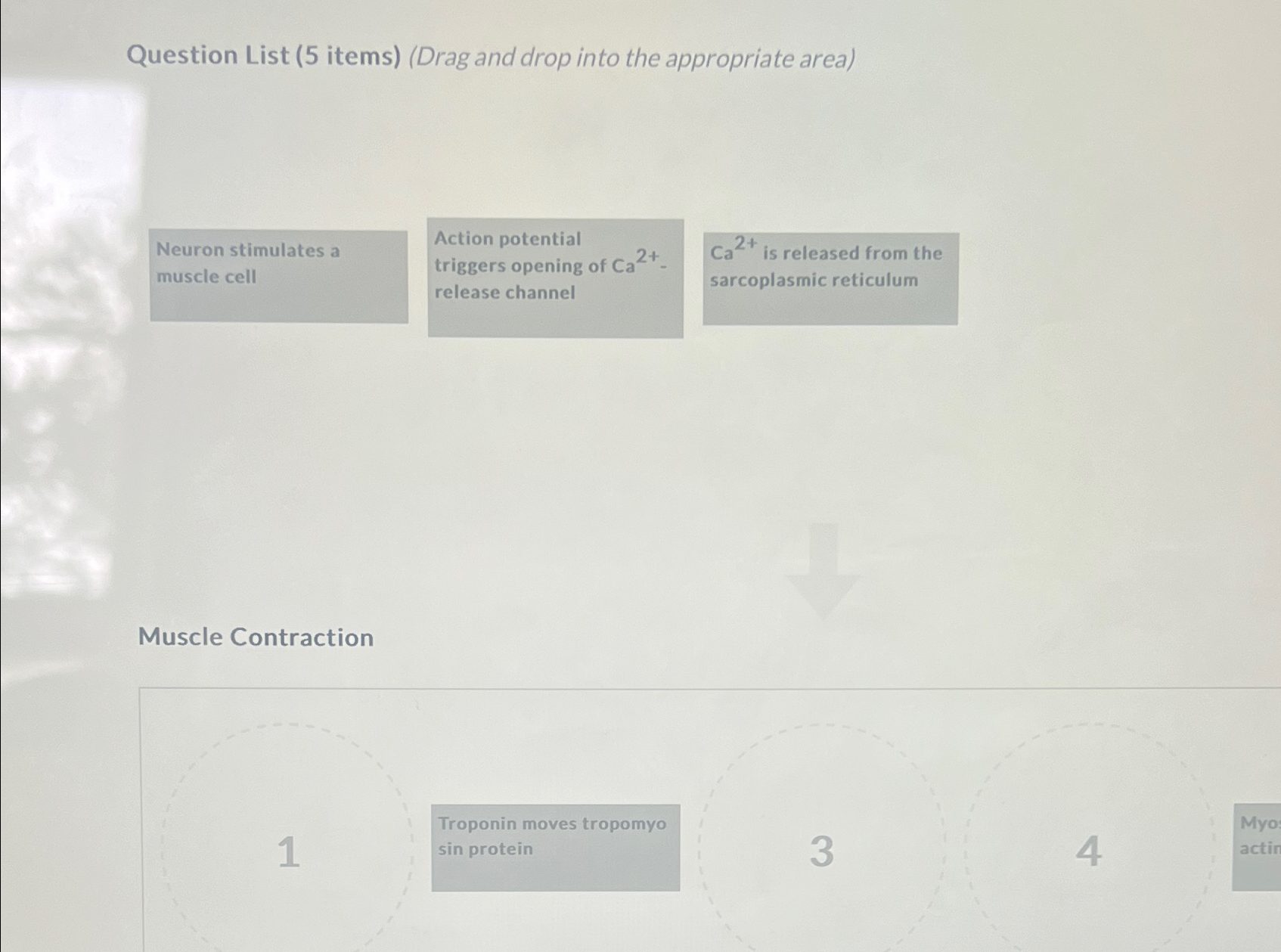 Solved Question List (5 ﻿items) (Drag and drop into the | Chegg.com