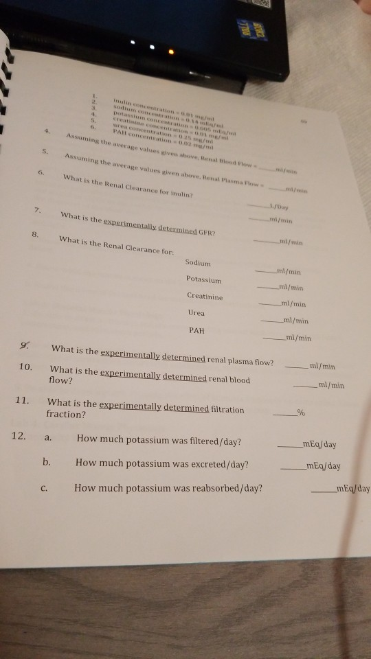 Solved Tco Renal blood Flow (RBF) Renal Plasma Flow (UPF) | Chegg.com