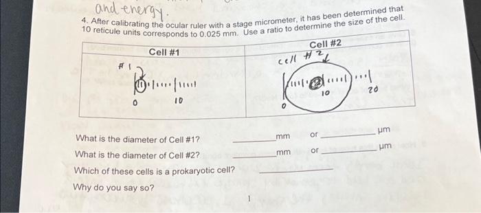 Solved 4. After calibrating the ocular ruler with a stage | Chegg.com