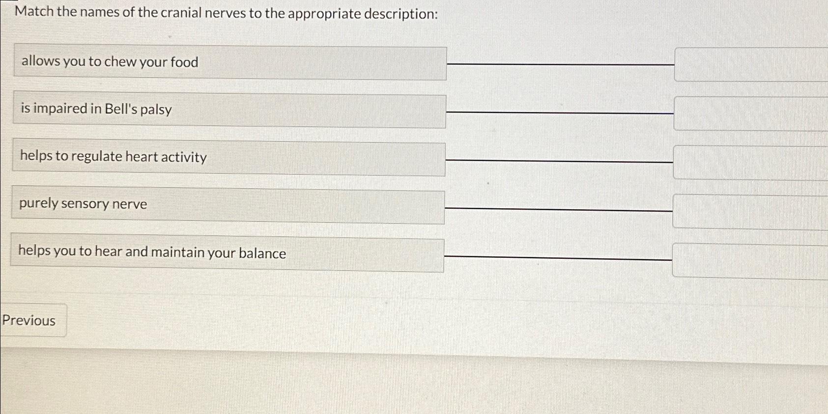 Solved Match the names of the cranial nerves to the | Chegg.com