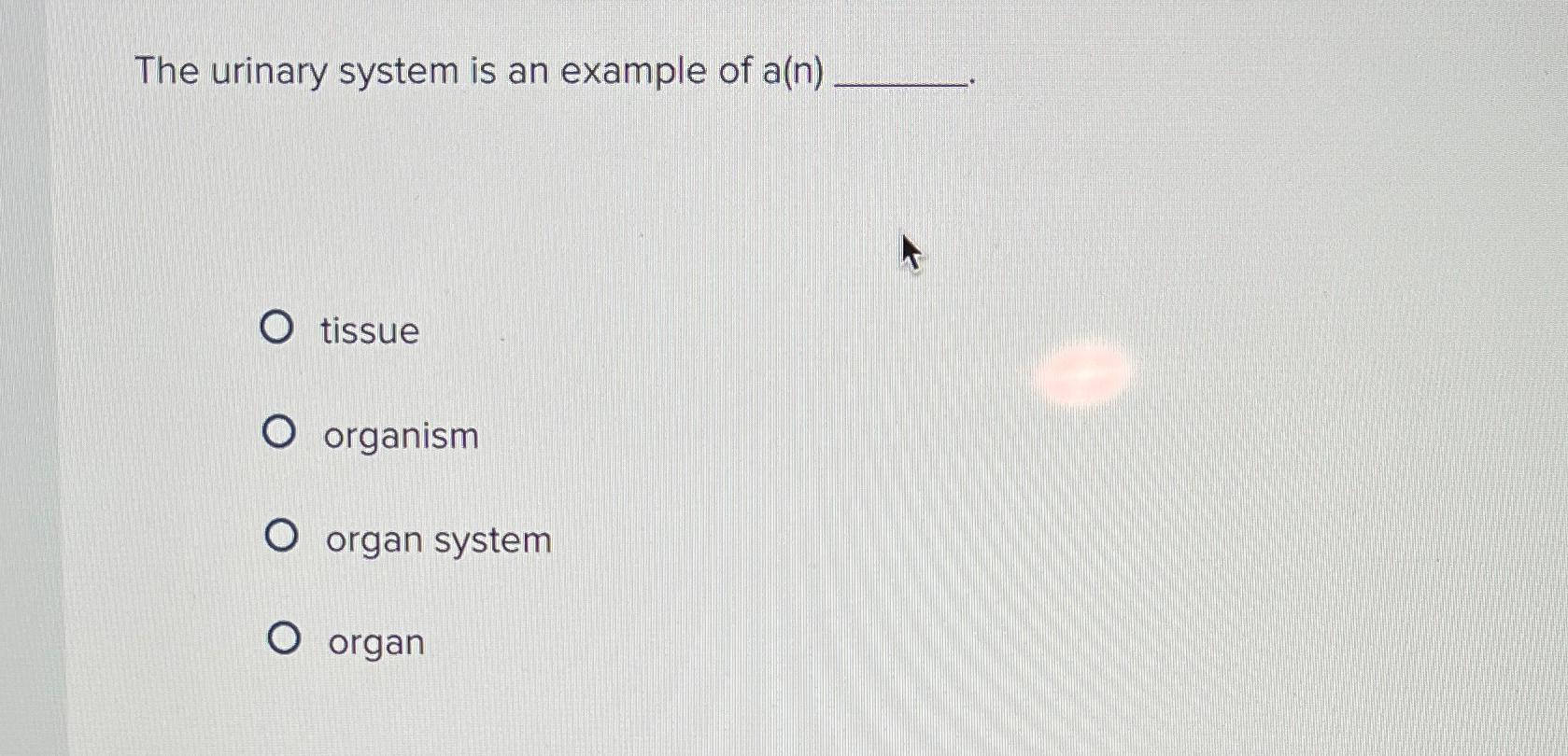 Solved The urinary system is an example of | Chegg.com