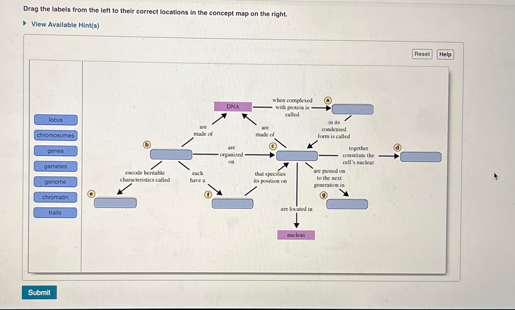 Solved Drag The Labels From The Left To Their Correct