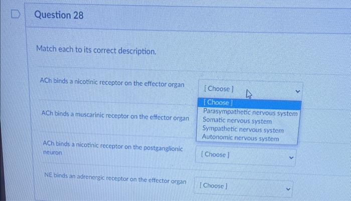 Solved Match each to its correct description. Ach binds a | Chegg.com