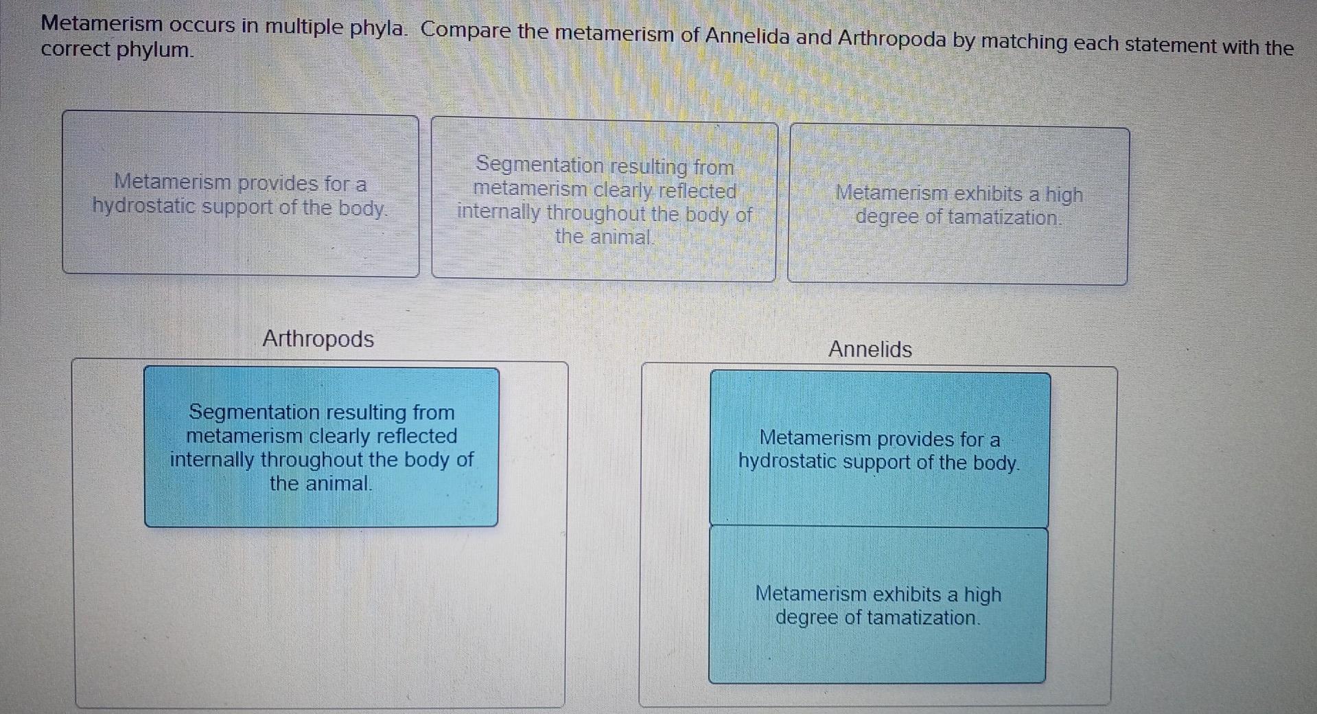Solved Metamerism occurs in multiple phyla. Compare the | Chegg.com