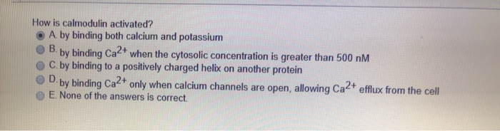 Solved How is calmodulin activated? A. by binding both | Chegg.com