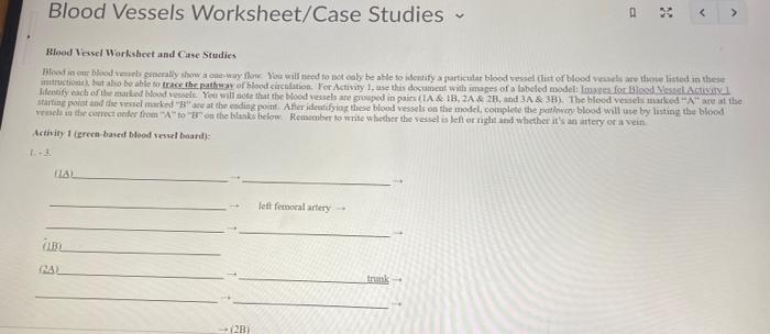 Blood Vessels Worksheet/Case Studies
