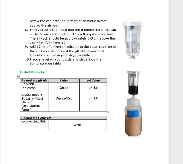 Lab Handout: Alcohol Fermentation Laboratory Report | Chegg.com