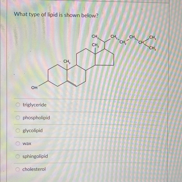 Solved What type of lipid is shown below? CH2-CHI CH₂-CH₂ CH | Chegg.com