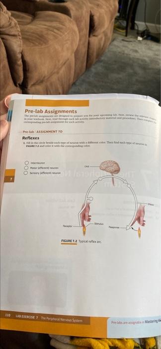 Solved 7 110 Pre-lab Assignments in your textbook. Next, | Chegg.com
