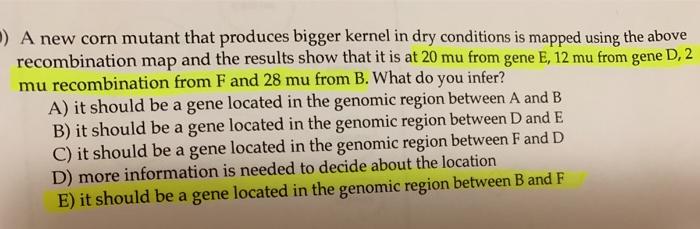 Solved ) A new corn mutant that produces bigger kernel in | Chegg.com