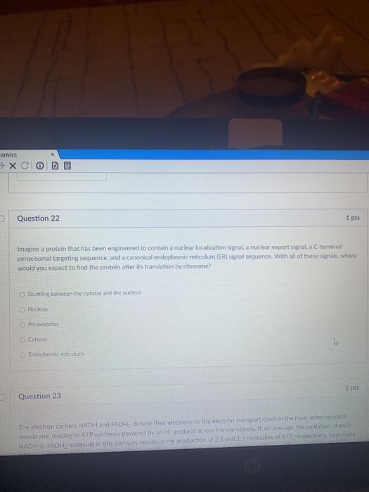 Solved 1) Rab5 and Rab7 constitite a Rab cascade in the | Chegg.com