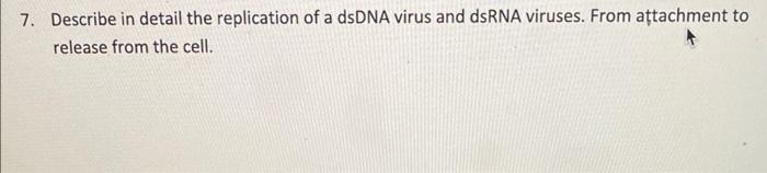 Solved 7. Describe in detail the replication of a dsDNA | Chegg.com