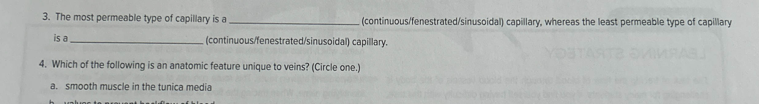 Solved The most permeable type of capillary is a | Chegg.com
