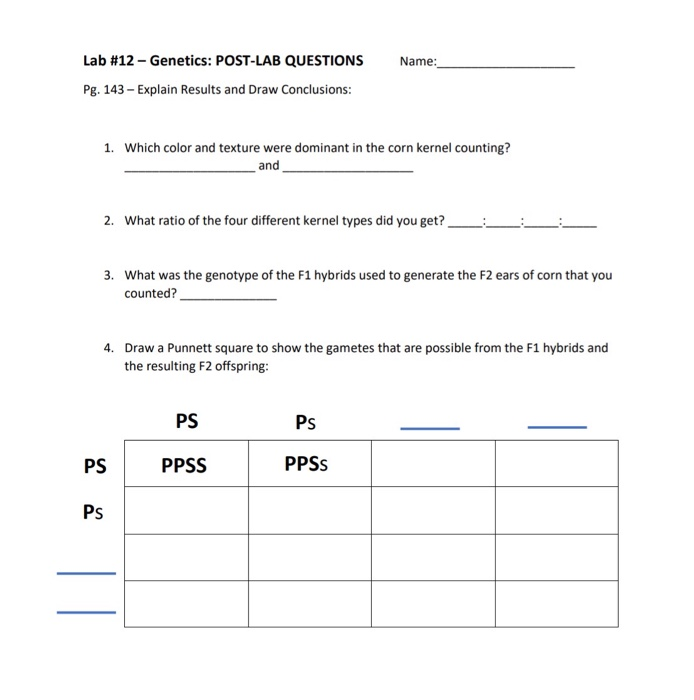 Solved Lab #12 - Genetics: POST-LAB QUESTIONS Name: Pg. 143 | Chegg.com