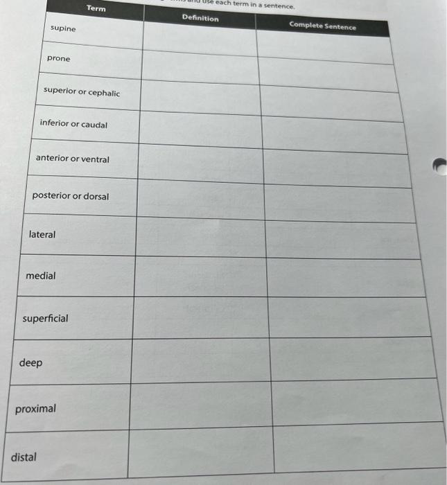 Solved Activity 1 - Find the following terms and list the | Chegg.com Solved Activity 1 - Find the following terms and list the | Chegg.com