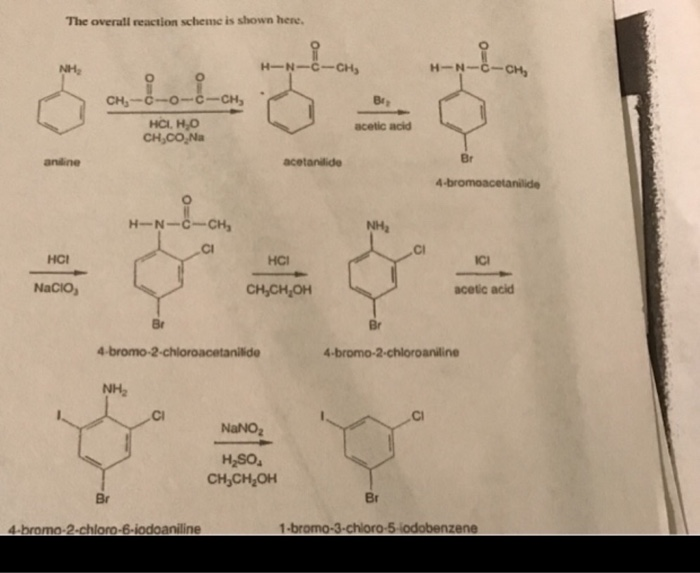 Solved The overall reaction scheme is shown here. NH | Chegg.com